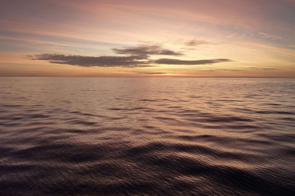 The Number One Thing We Can Do to Protect Earth's Oceans – BillMoyers.com