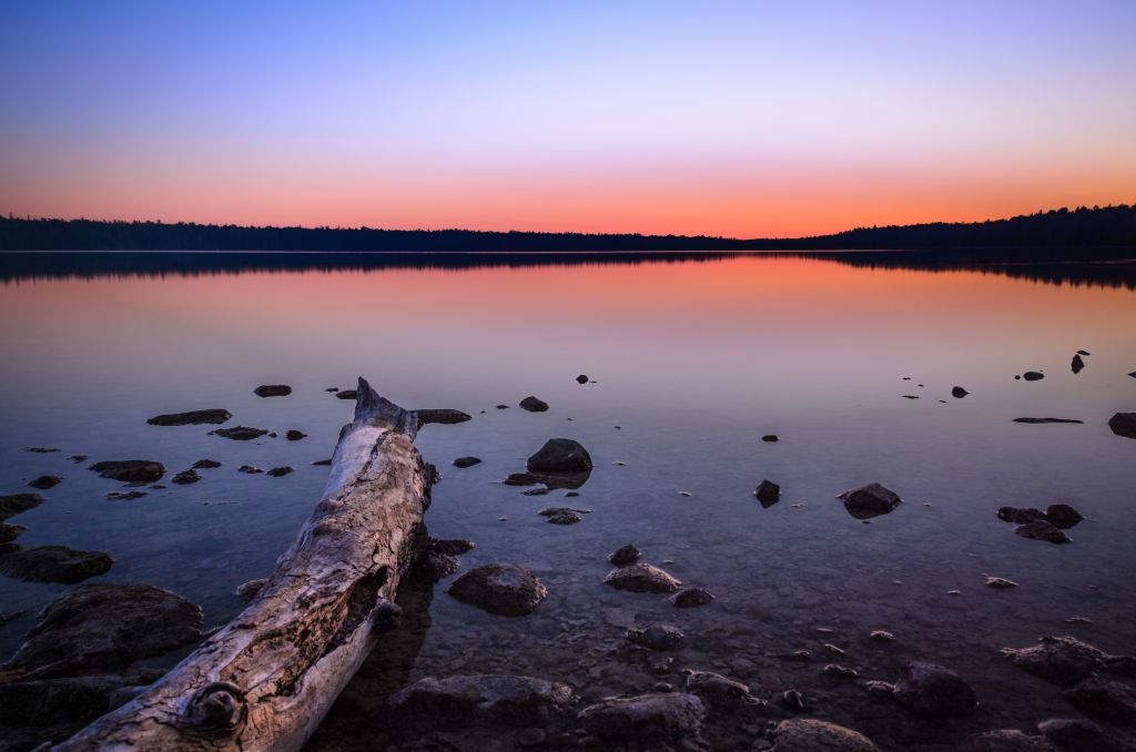 Fall of the Wild: Study Documents 'Catastrophic Decline' in World's ...