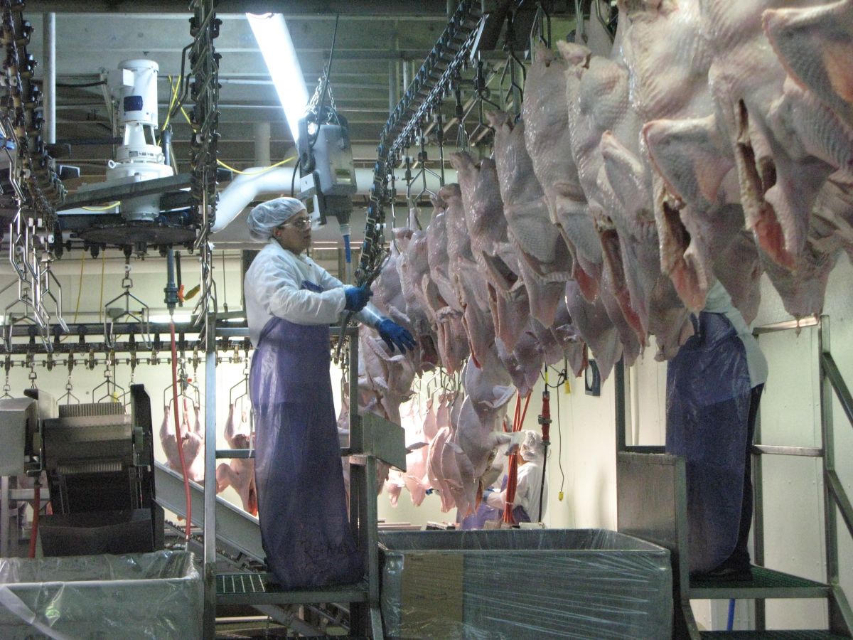 Despite Some Progress, Poultry Workers Still Face Workplace Woes