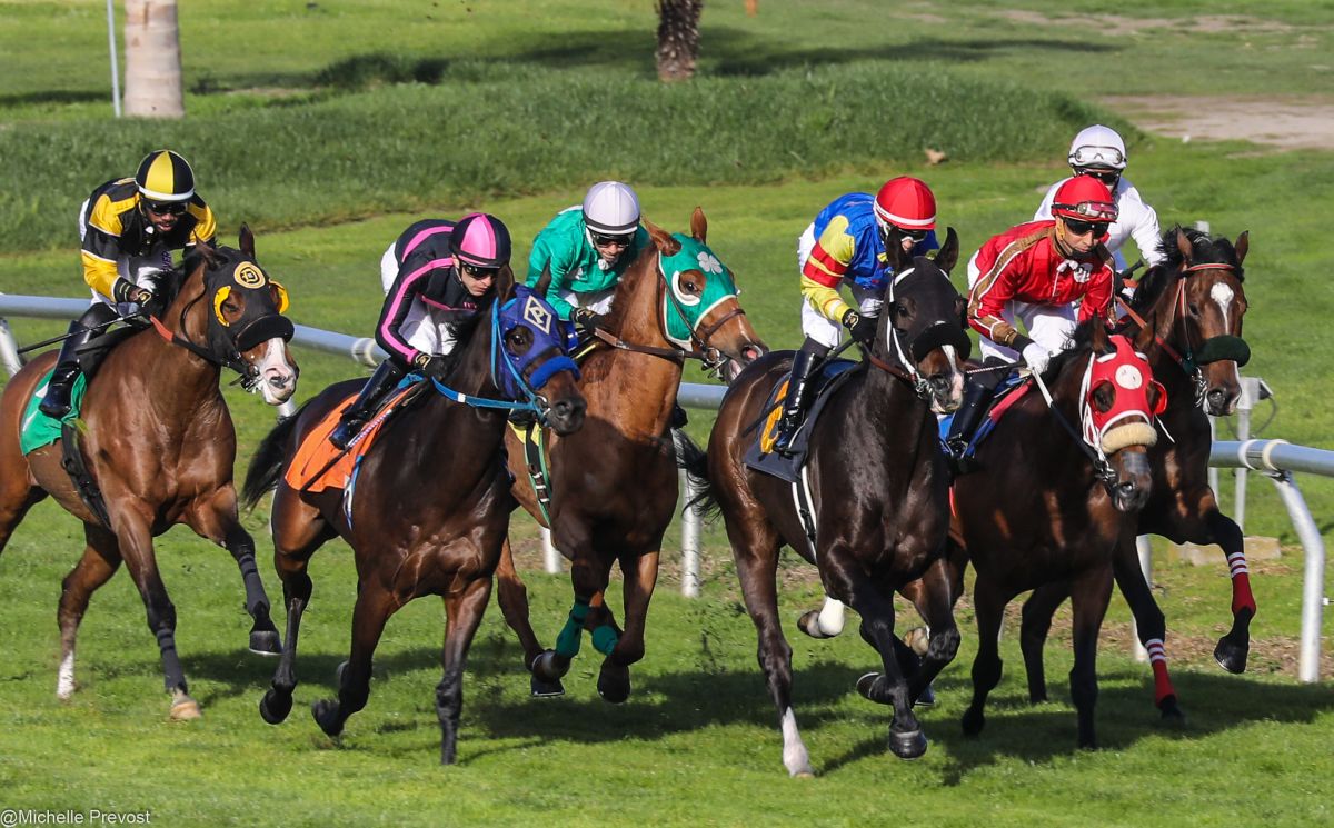 Unsanitized, Election Edition: The Most Important Races Other than ...